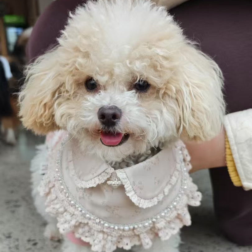 Ella – Pink Lace Dress for Pets | Elegant & Comfortable – Luko Luko